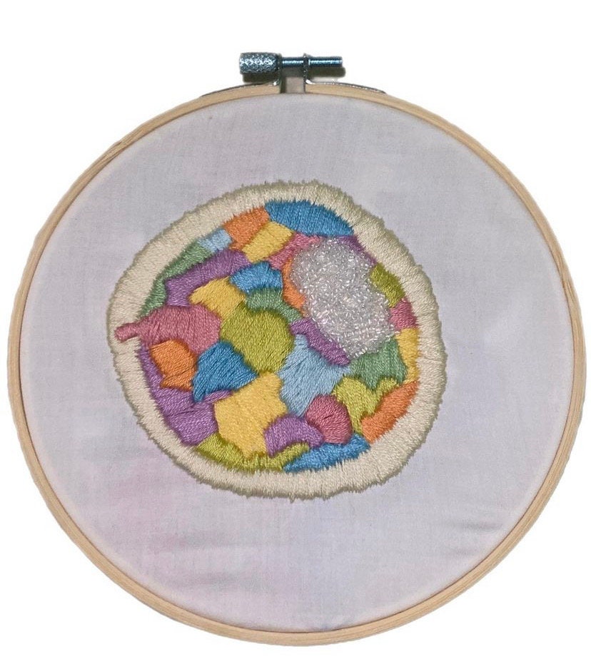 Custom Embryo Embroidery - Etsy