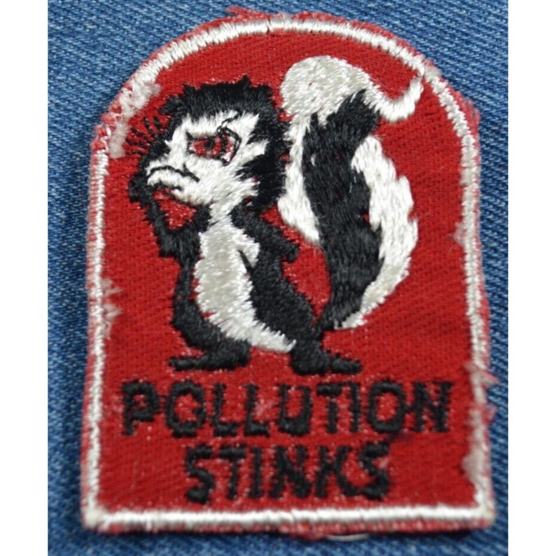 Original 70s Vintage POLLUTION STINKS 2.75" Patch Ecogreen Funny Skunk ...