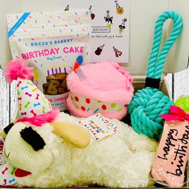 Gotcha Day Gift for Dog - 60+ Gift Ideas for 2025