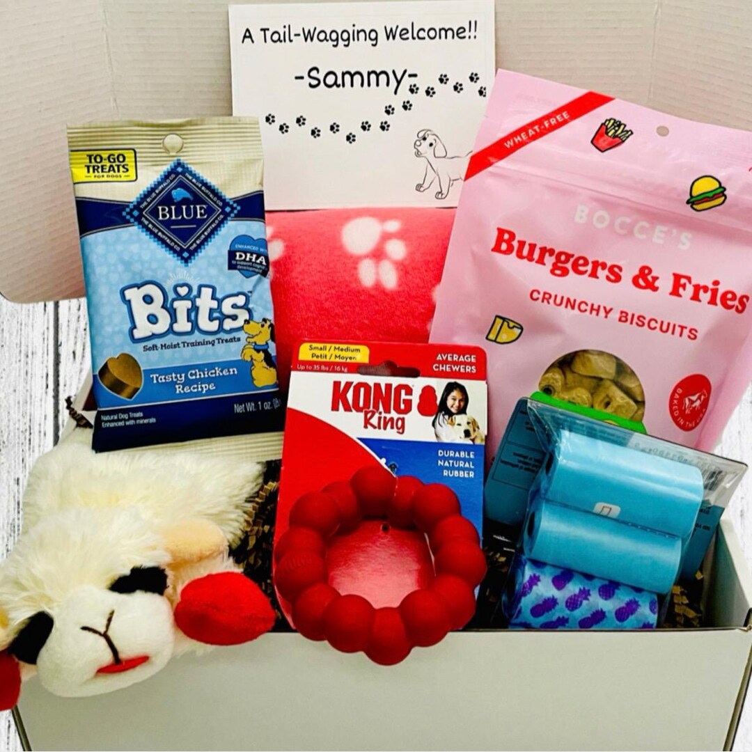Welcome New Puppy & Dog Gift Box – Lamb Chop Plush, Kong Ring and ...