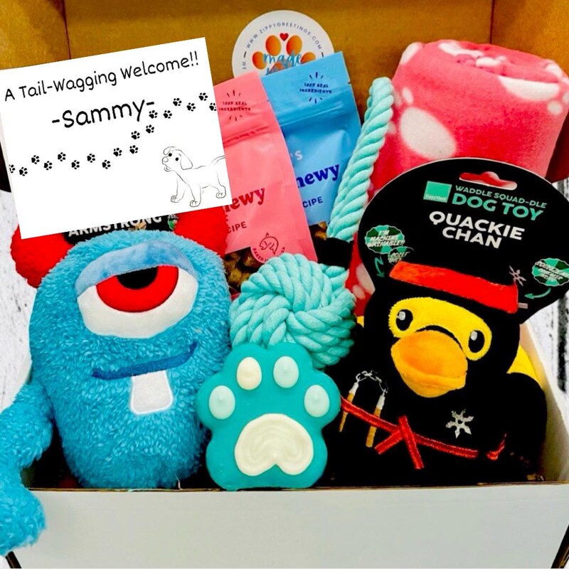 Dog Gift Box - 60+ Gift Ideas for 2024