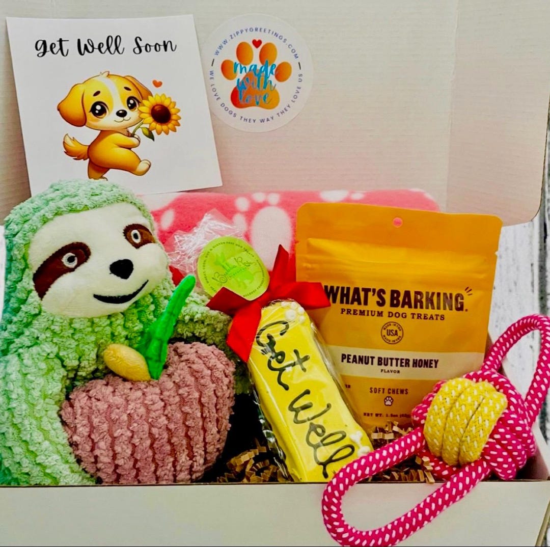 Slothy Get Well Pup Box, Small-med Dog, Get Well Dog, Dog Care Package ...