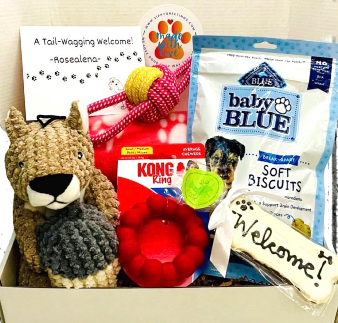 New Dog Welcome or Congrats Gift Box| Squirrel Plush Toy, Teething Ring ...