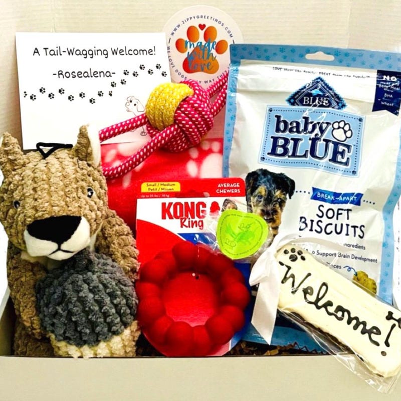 The Puppy of the Ring - Etsy