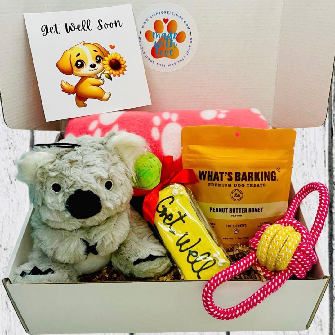 Koala Hugs Get Well Pup Box, Small-med Dog, Get Well Dog, Dog Care ...