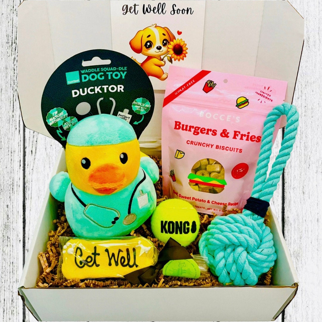 Quak-tastic Recovery, Dog Get Well Soon, Dog Care Package, Dog Gift Box ...