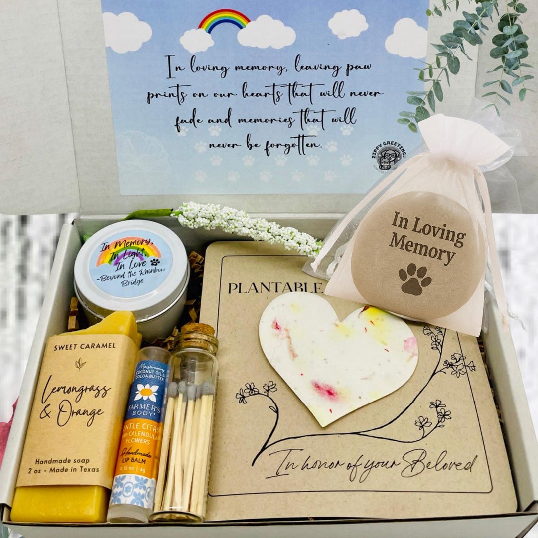 Rainbow Bridge Sympathy Box for Dog or Cat: Candle,plant Seed Paper ...