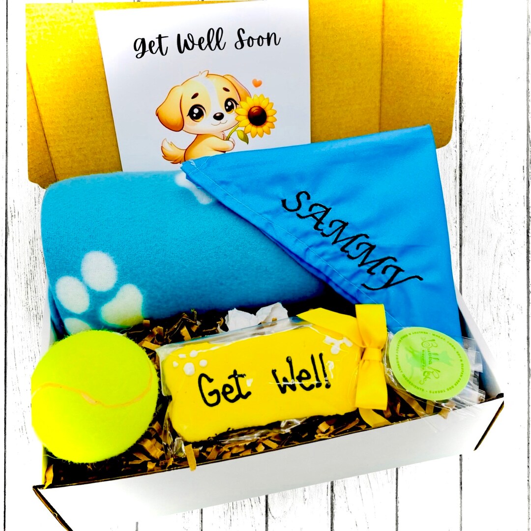 Dog Get Well Soon, Dog Care Package, Dog Gift Box, Dog Gift Basket ...