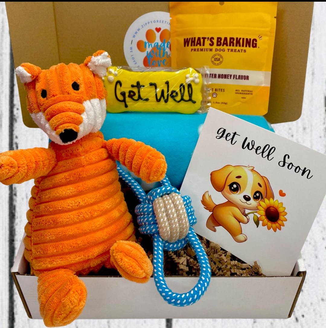 Get Well Dog Gift Box: Plush Fox, Rope Toy, Treats, Blanket and Cookie ...