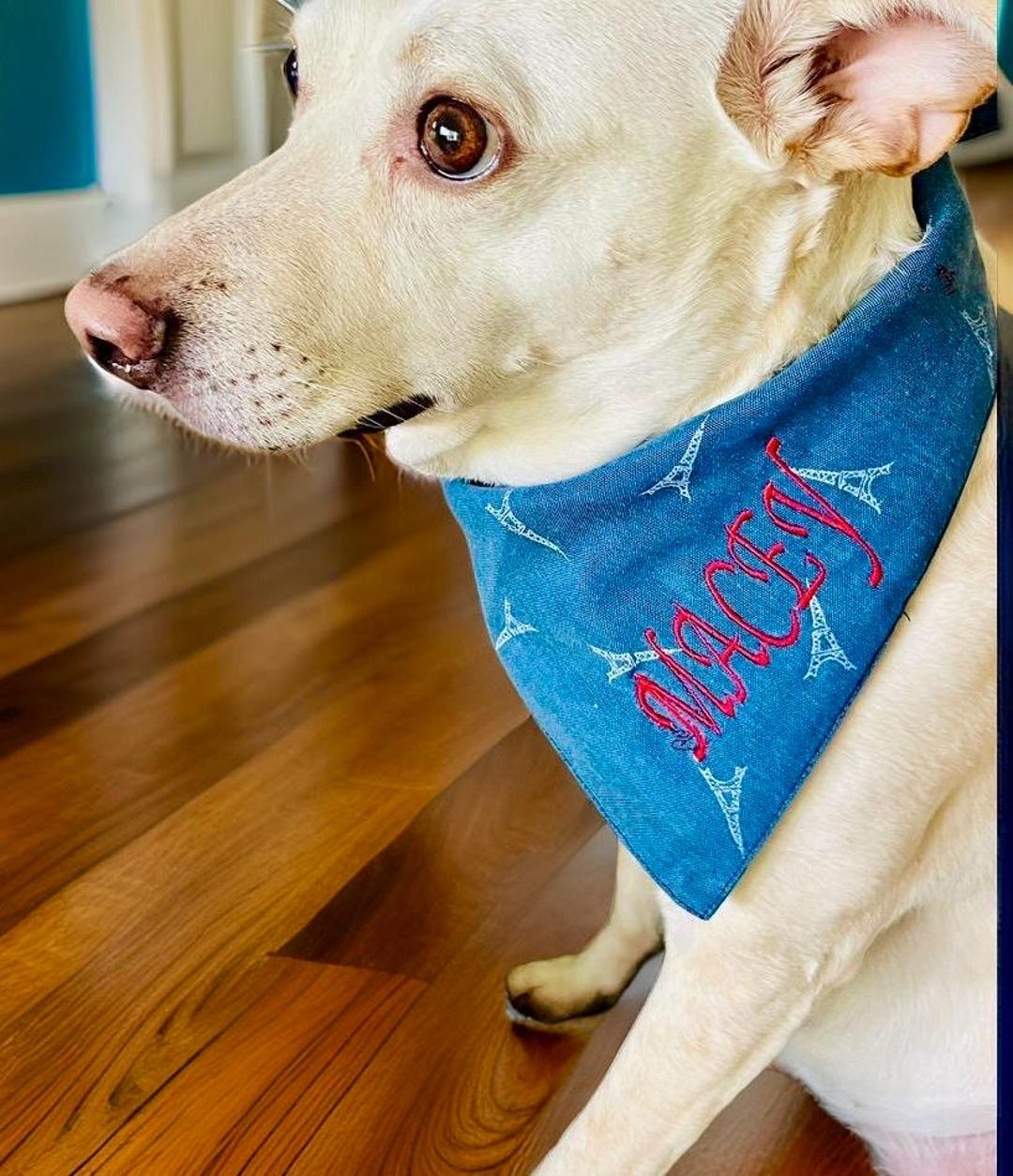 Personalized Dog Bandana, Small Large Dog, Tie on Bandana, Triangle Dog ...