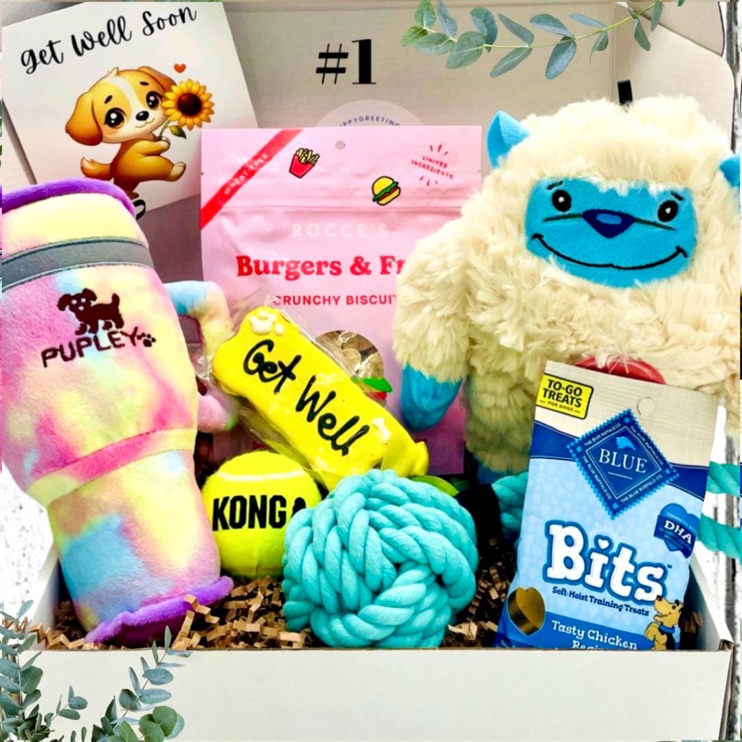 Get Well Dog Gift Box - Yeti or Hedgehog Plush, Tumbler Toy, Treats ...
