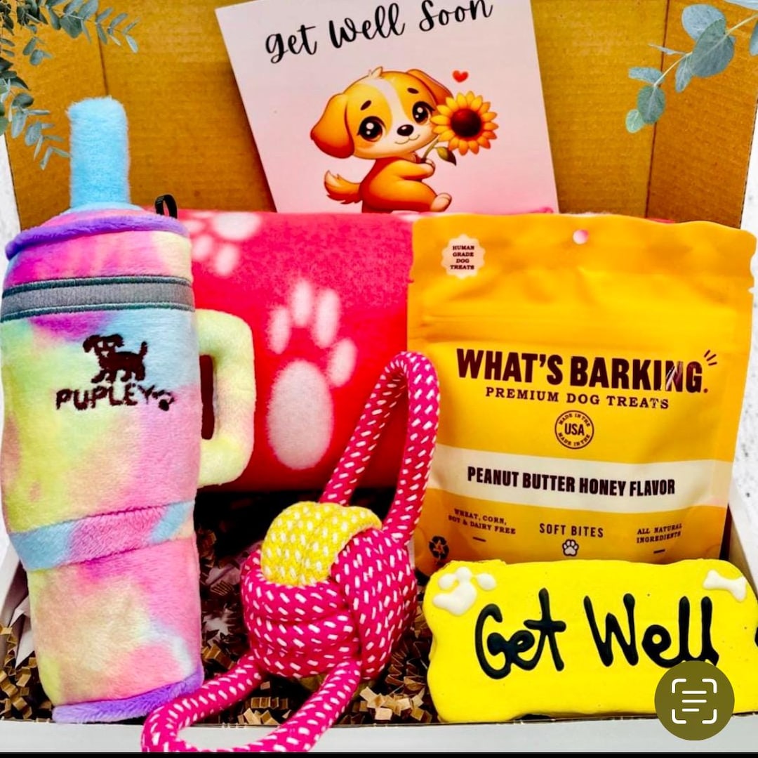 Get Well Dog Gift Box: Plush Sippy Tumbler, Rope Toy, Treats and ...