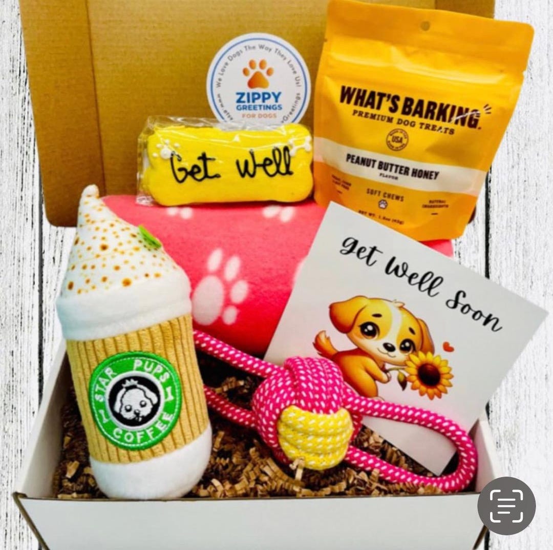 Get Well Dog Gift Box: Star-pups Plush Cup, Rope Toy, Treats and ...