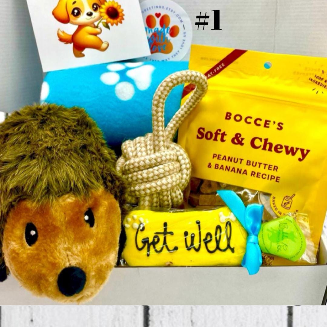 Large Get Well Hugs & Snuggles Dog Gift Box, Med-large Dog, Dog Gift ...