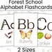 WOODLAND ALPHABET FLASHCARDS, Watercolor Design, Perfect for Forest and ...