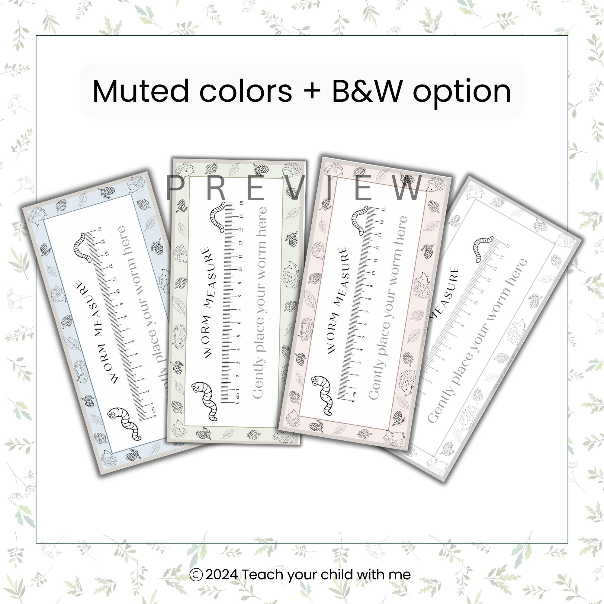 Forest School Worm Measure + Wildlife Ruler + Learning Worksheet ...