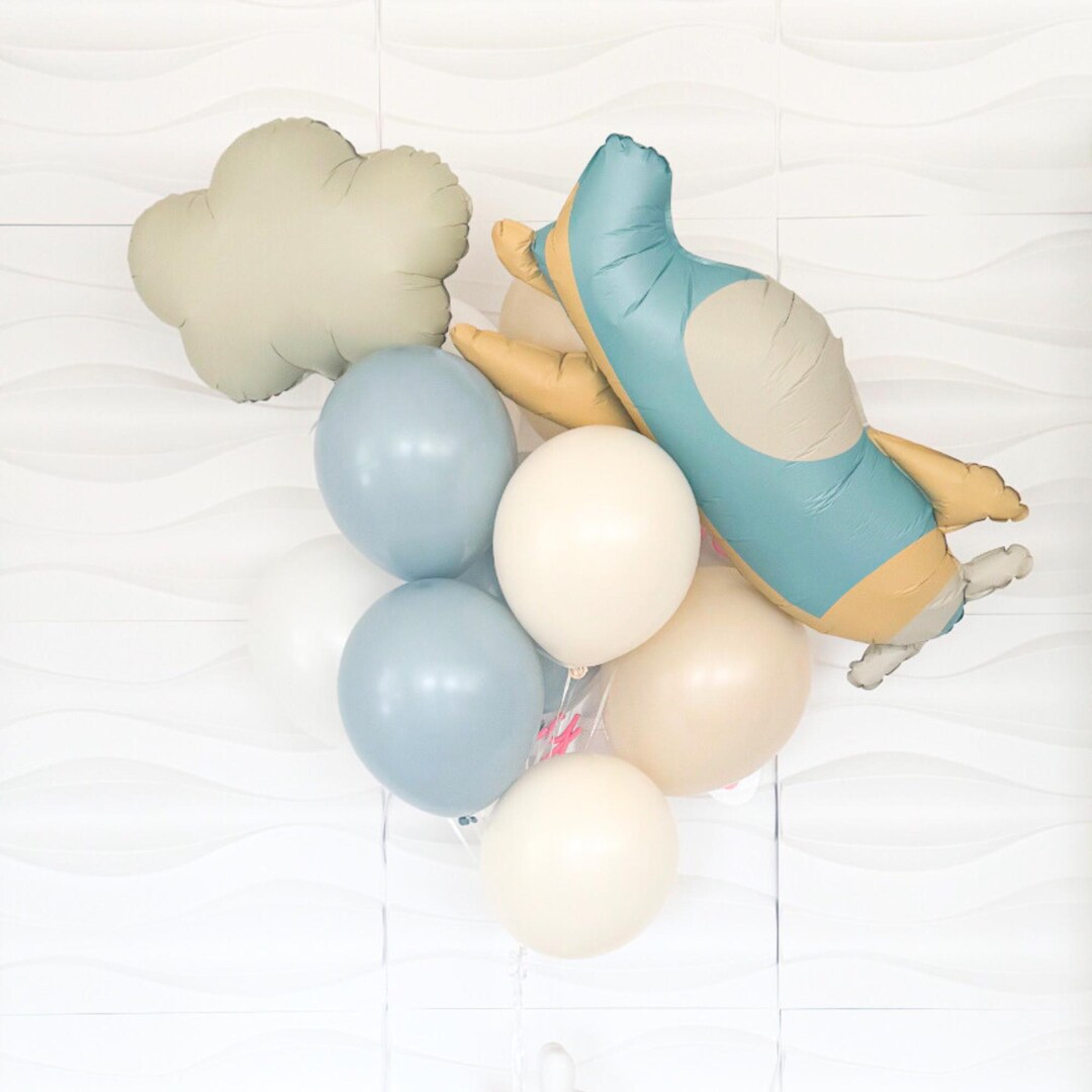 Time Flys Plane 10 Pack of Balloons - Plane Balloons - Plane Birthday ...