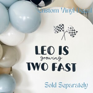 TWO Fast Theme L Two Fast DIY Balloons Kit L Growing Two Fast Birthday ...