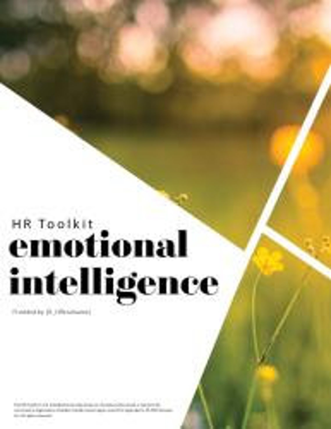 Customize Hr Emotional Intelligence Toolkit Toolkit for - Etsy