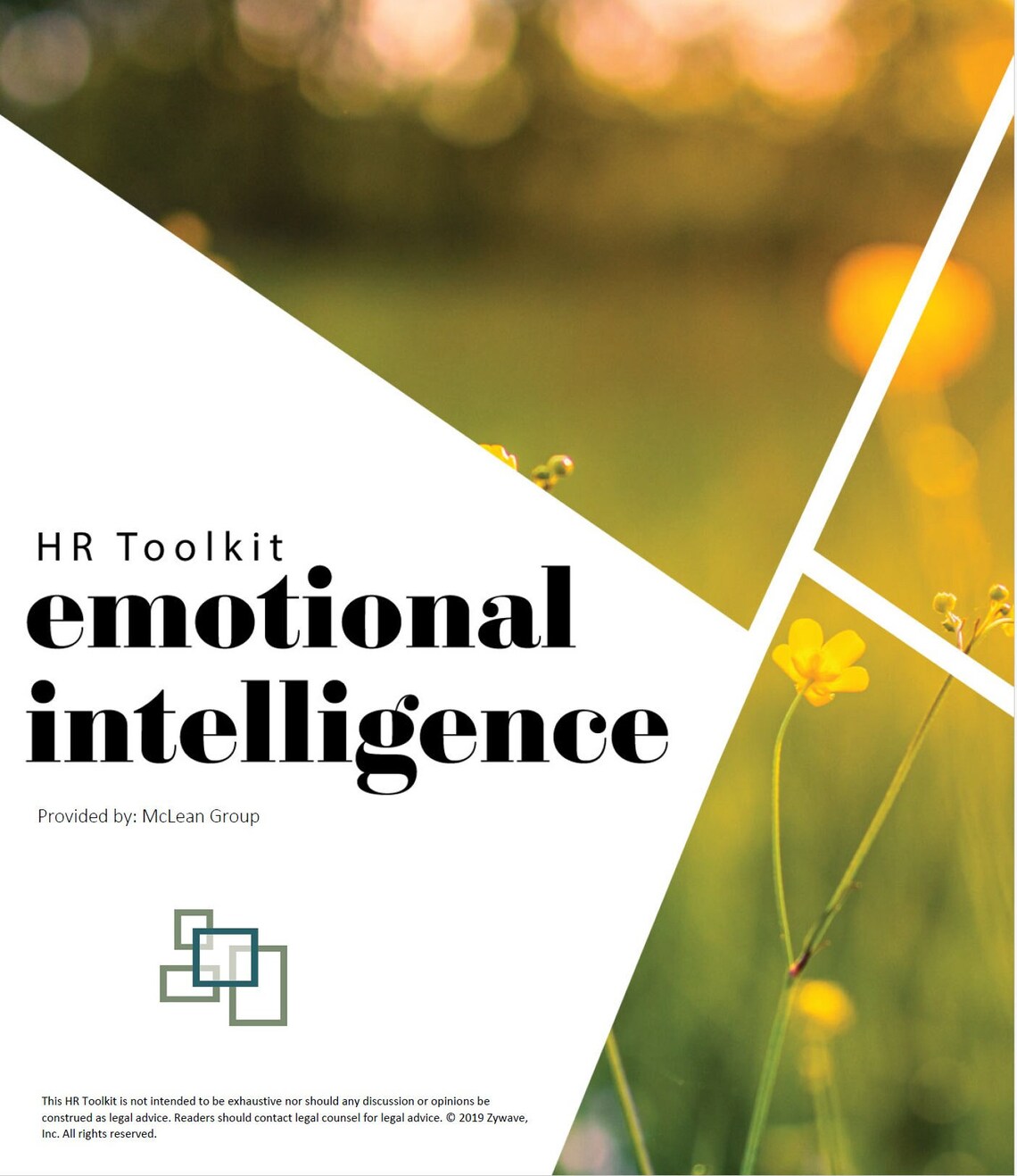 Customize Hr Emotional Intelligence Toolkit Toolkit for Business ...