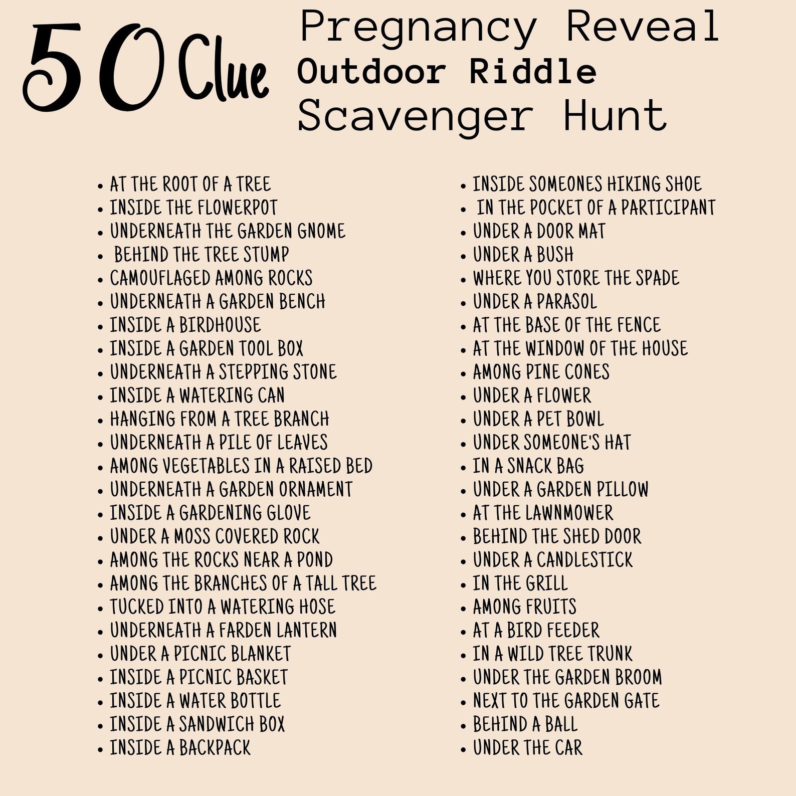 Pregnancy Reveal Outdoor Scavenger Hunt for Siblings, Treasure Hunt ...