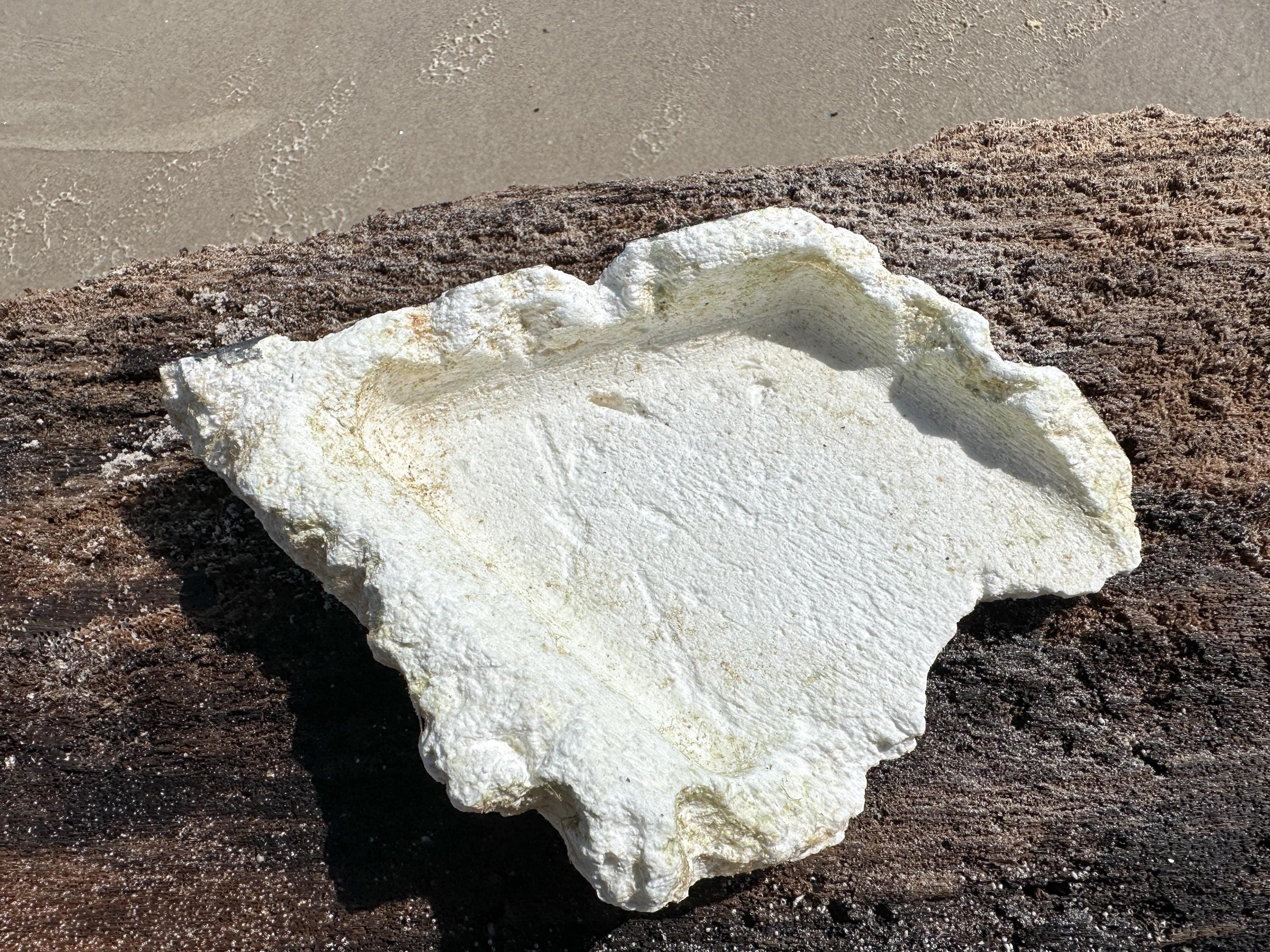 Genuine Spacex Starship Heat Tile Fragments Custom Display Glass & RARE ...