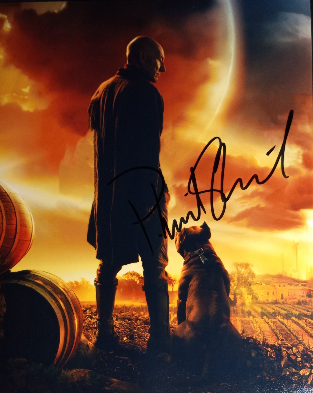 Patrick Stewart - Signed Autographed 8x10 Photo W/ COA - Star Trek ...