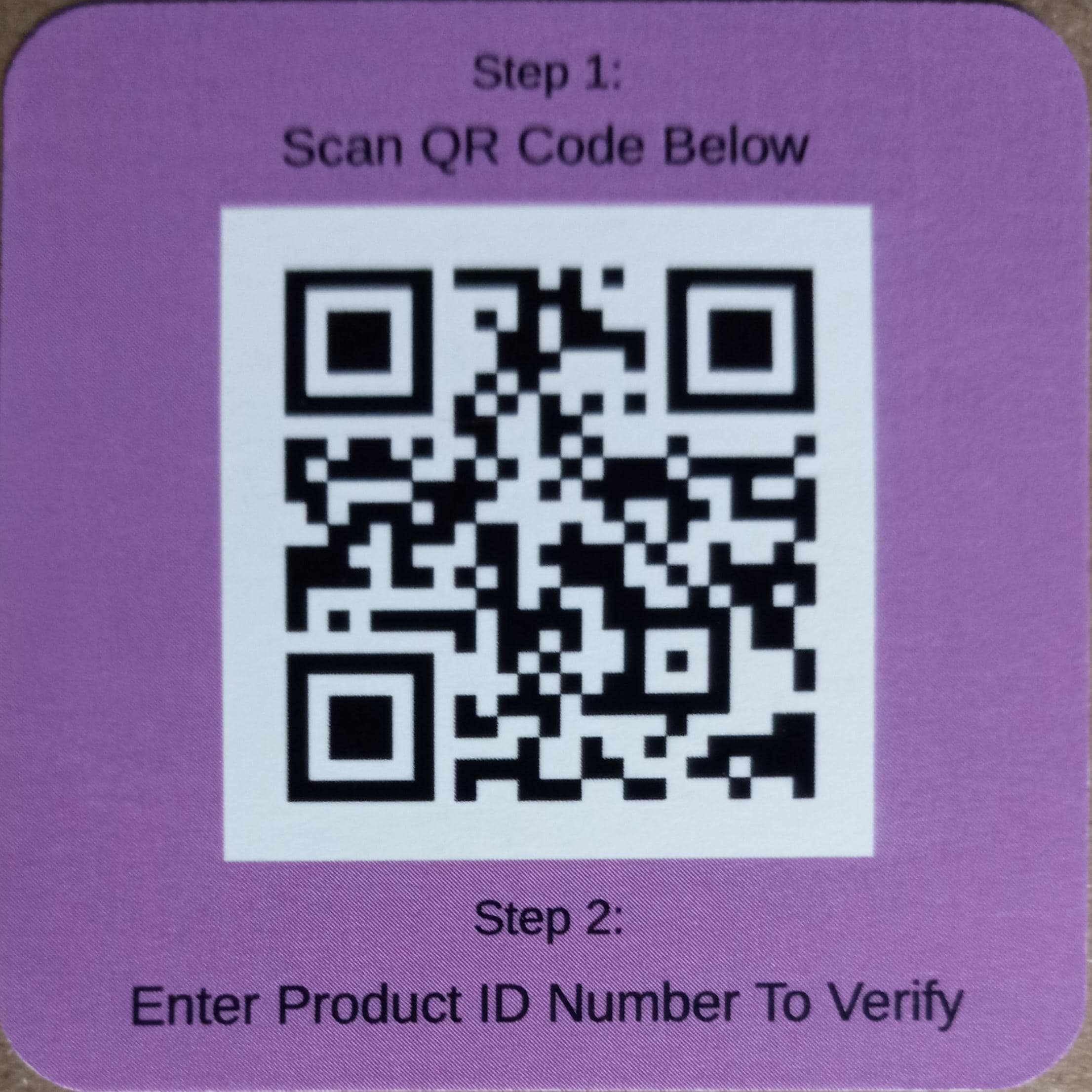 Cameron Diaz Signed Autographed 8x10 Photo W/ 3rd Party Authentication ...