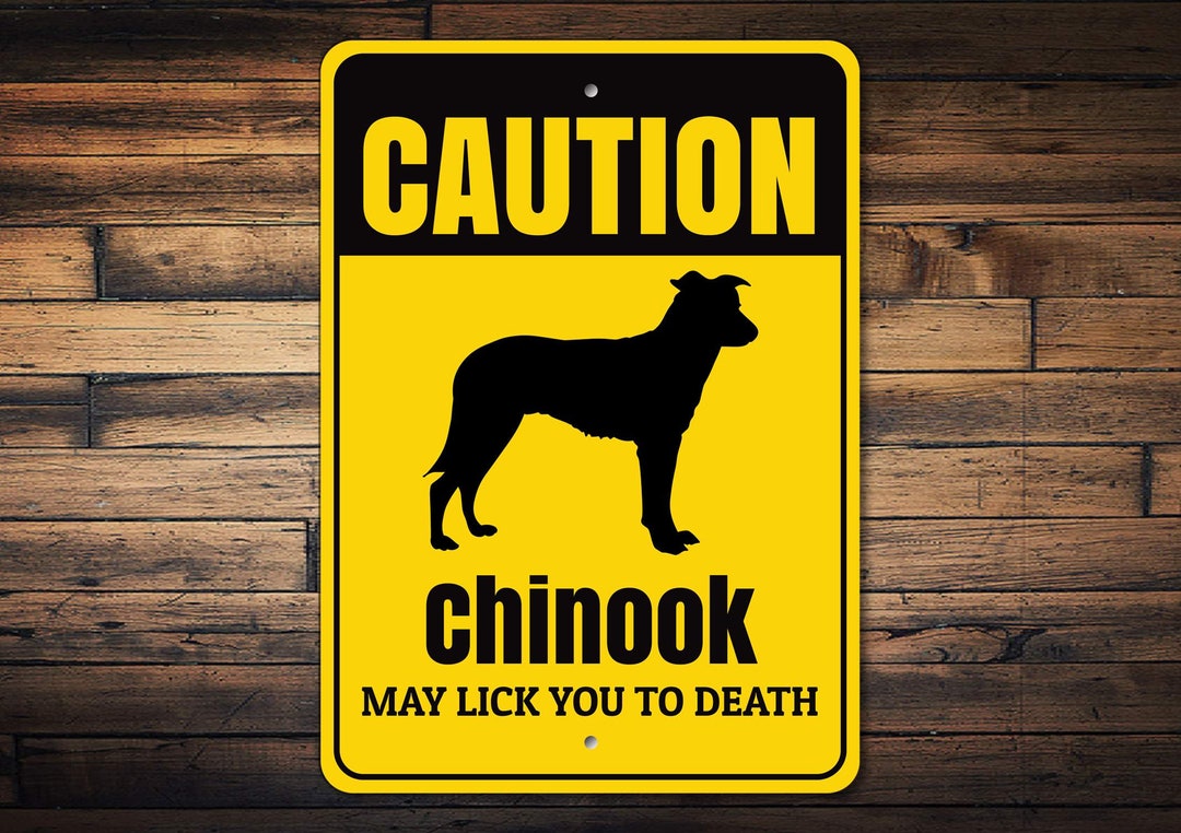 Caution Dog Sign, Chinook Sign, Dog Breed Sign, Dog Lover Gift, Chinook ...