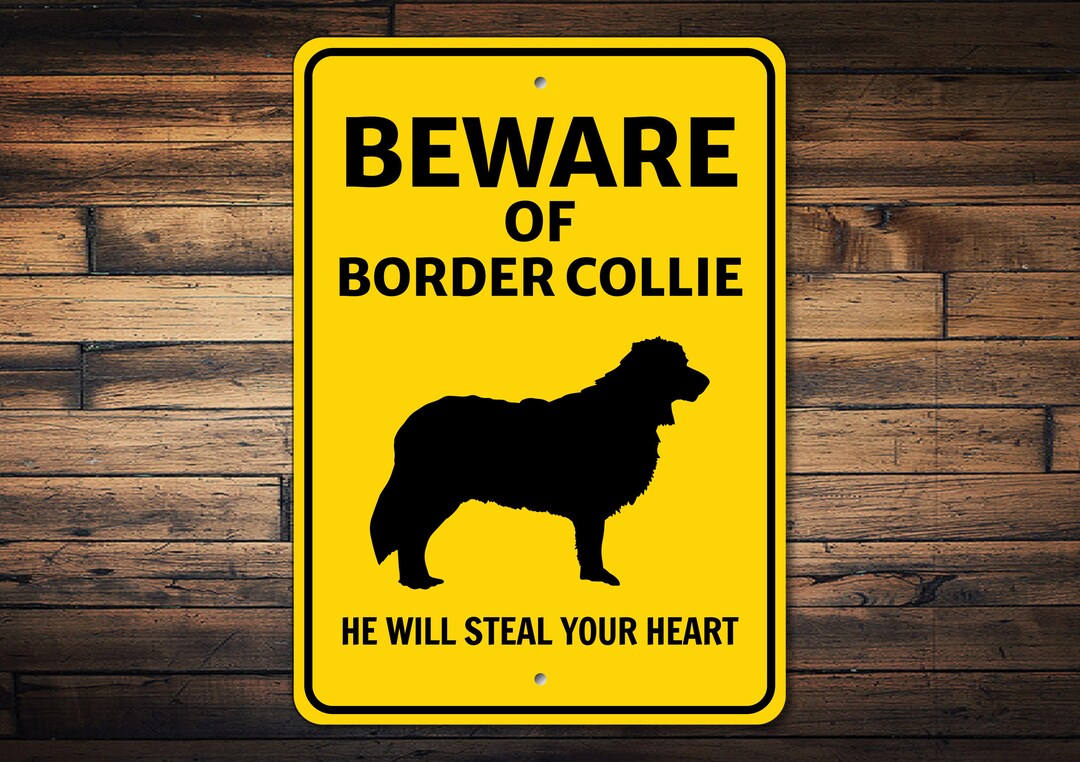 Beware of Border Collie Dog Sign, Border Collie Wall Sign, Dog Breed ...