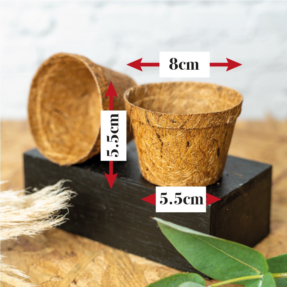 Set of 10x Small Coir Pots, Coir Block, and Plant Labels - Etsy