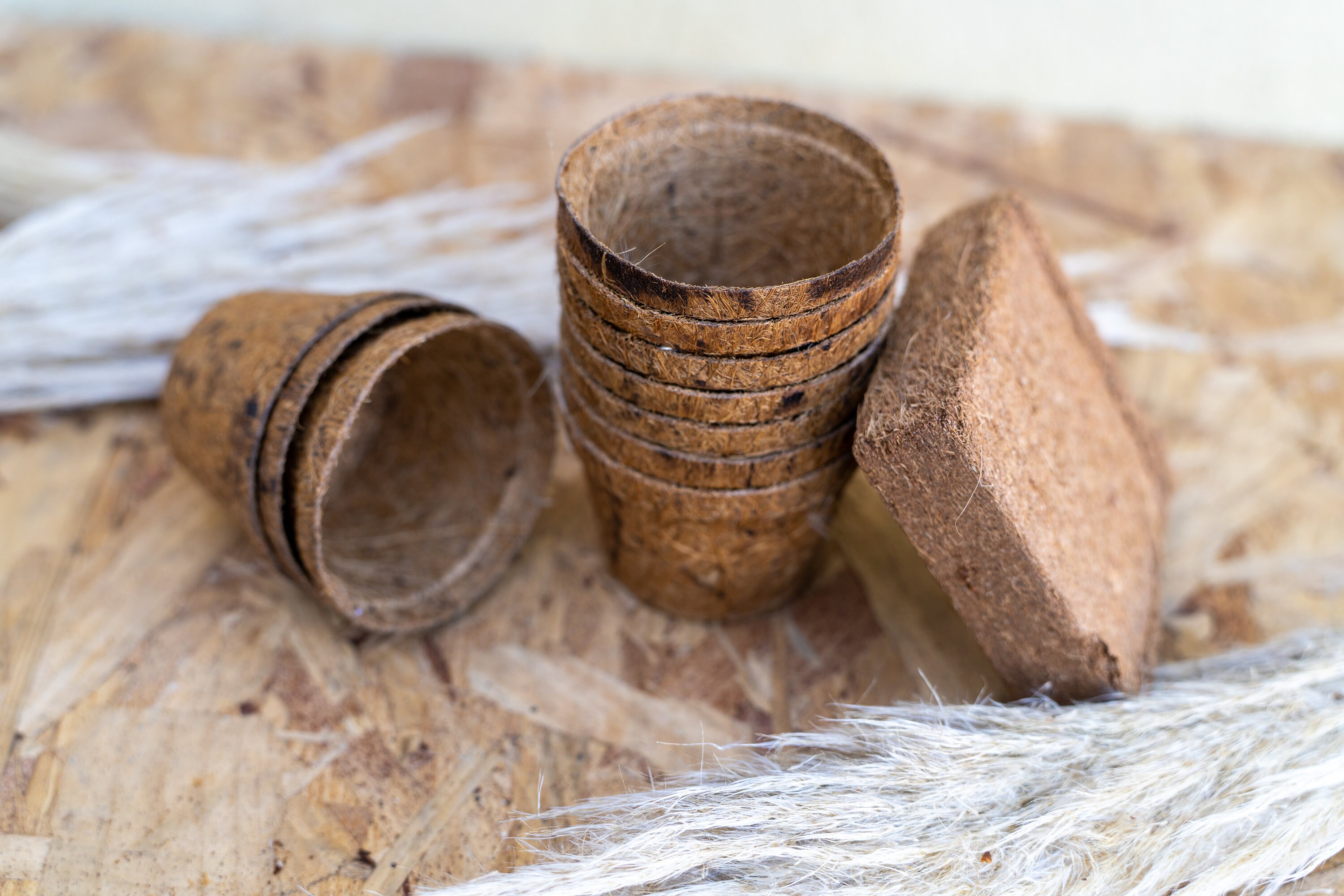 Set of 10x Small Coir Pots, Coir Block, and Plant Labels - Etsy
