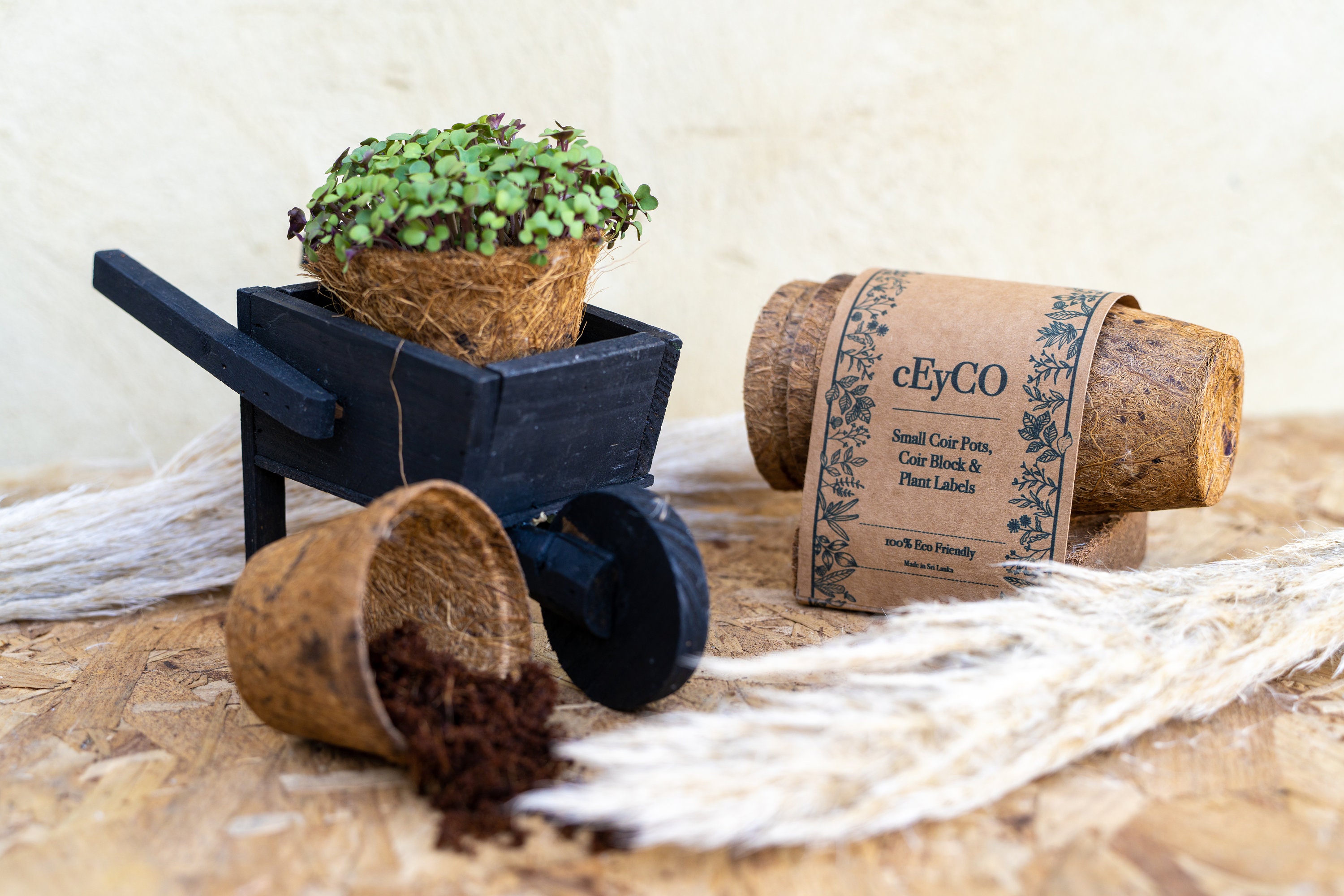 Set of 10x Small Coir Pots, Coir Block, and Plant Labels - Etsy