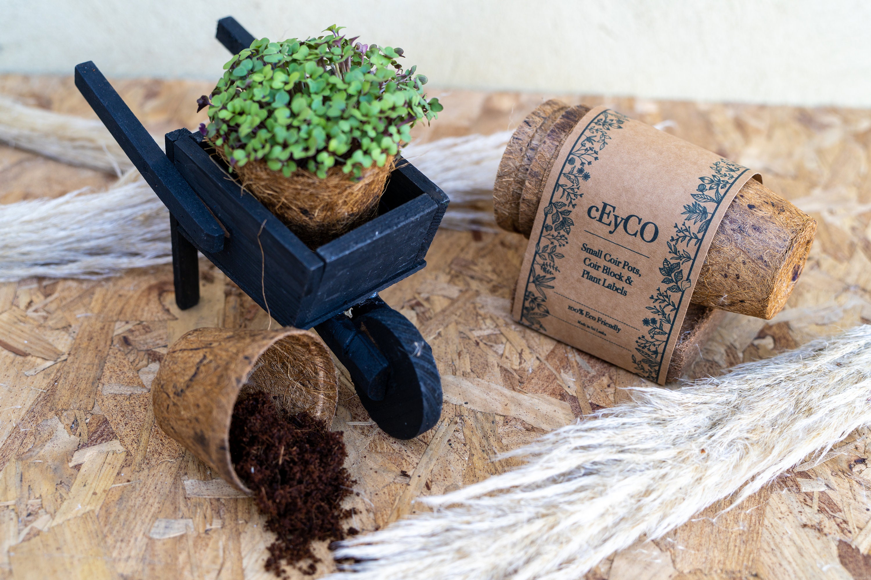 Set of 10x Small Coir Pots, Coir Block, and Plant Labels - Etsy