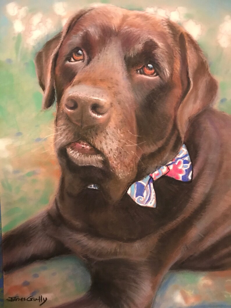 Custom Drawn Pastel Pet Portraits . Size is 9 by 12 With a - Etsy