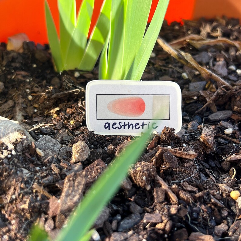 Aesthetic Blood Smear Sticker - Etsy