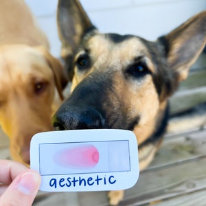 Aesthetic Blood Smear Sticker - Etsy