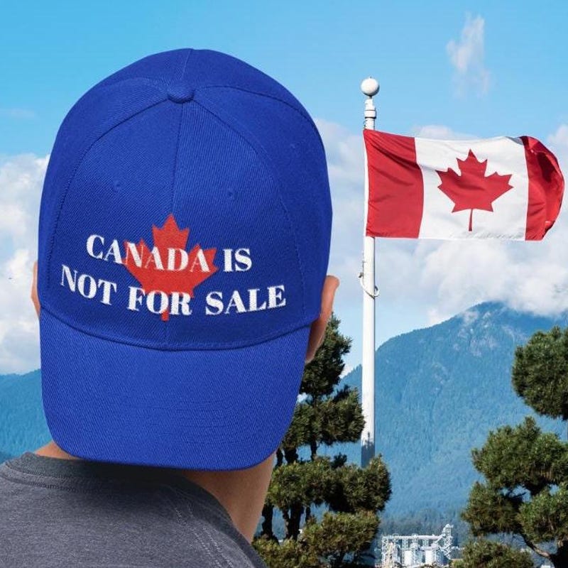 Canada 51st State Hat - Etsy Canada