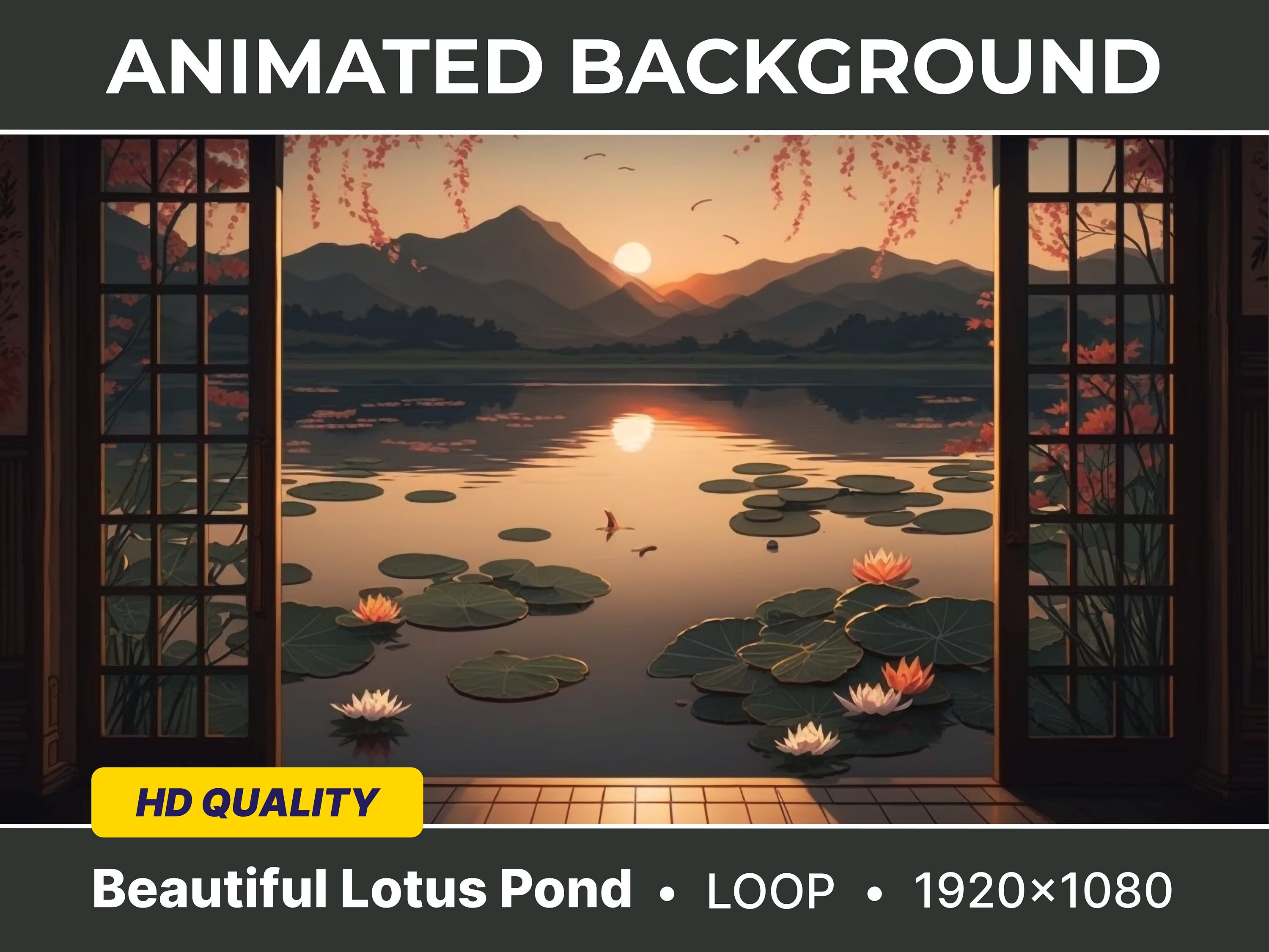 Animated Virtual Background Beautiful Lotus Pond Room Looped - Etsy