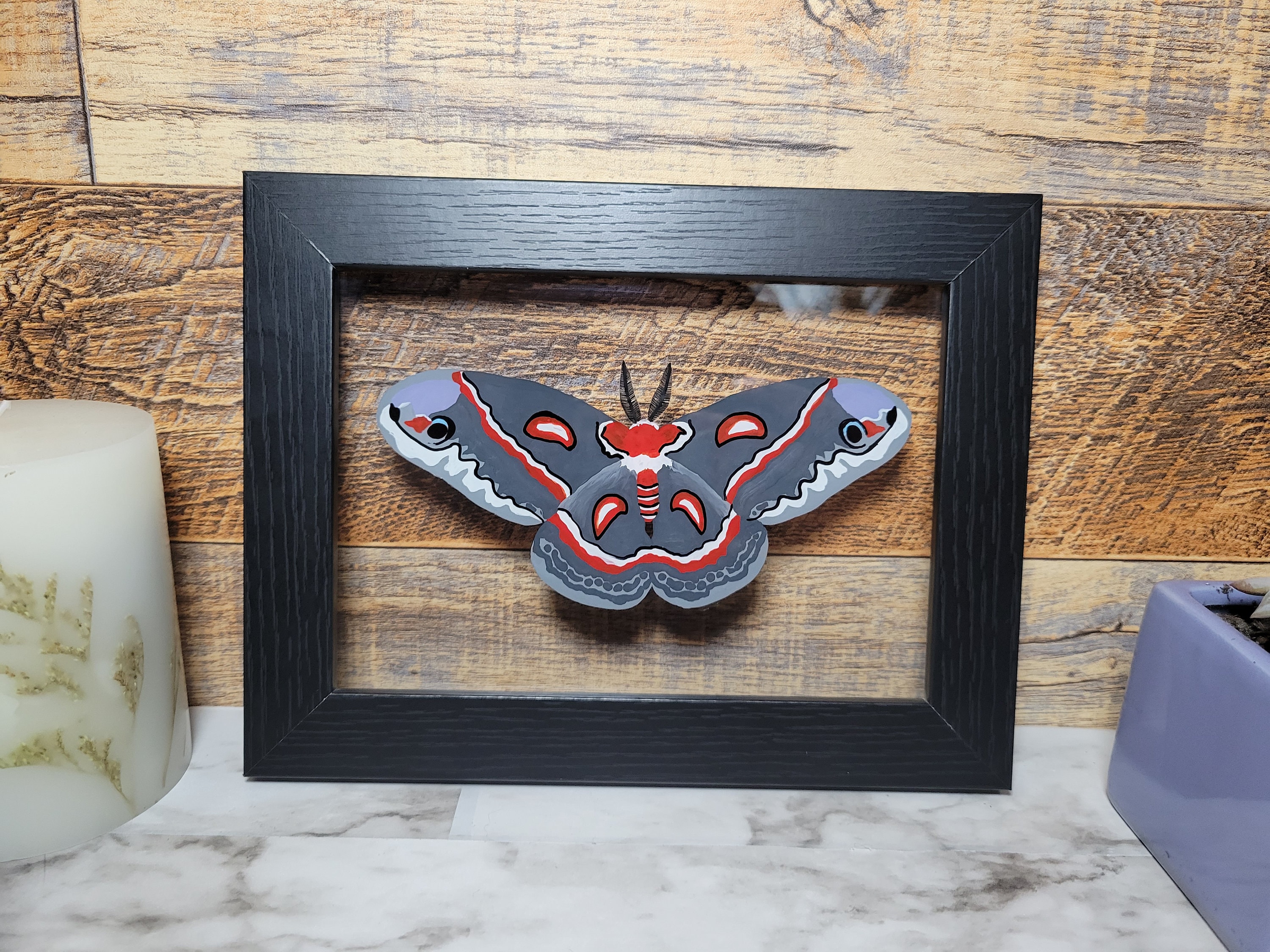 Reverse Glass Painting Cecropia Moth Faux Taxidermy Shadowbox Framed ...