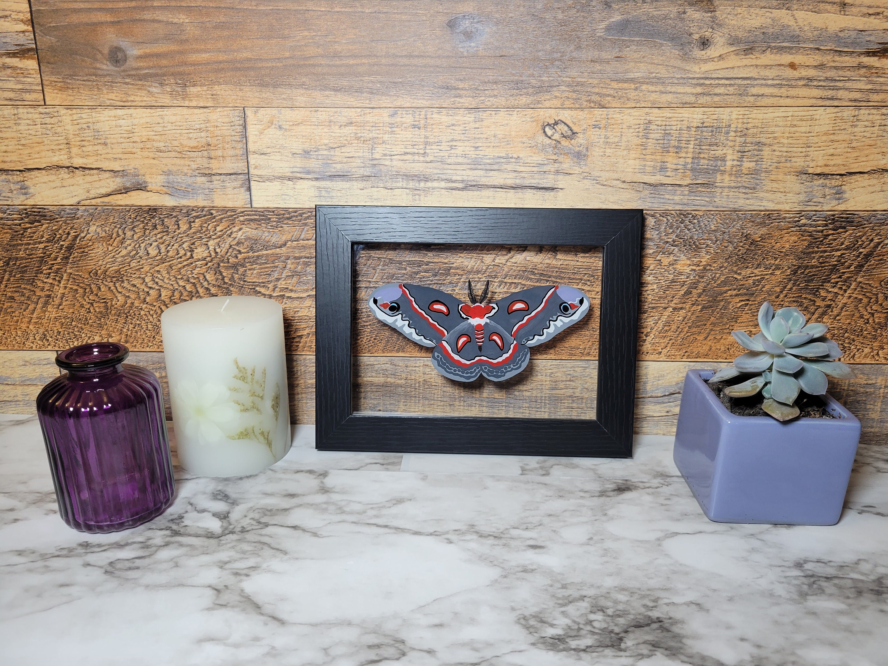 Reverse Glass Painting Cecropia Moth Faux Taxidermy Shadowbox Framed ...