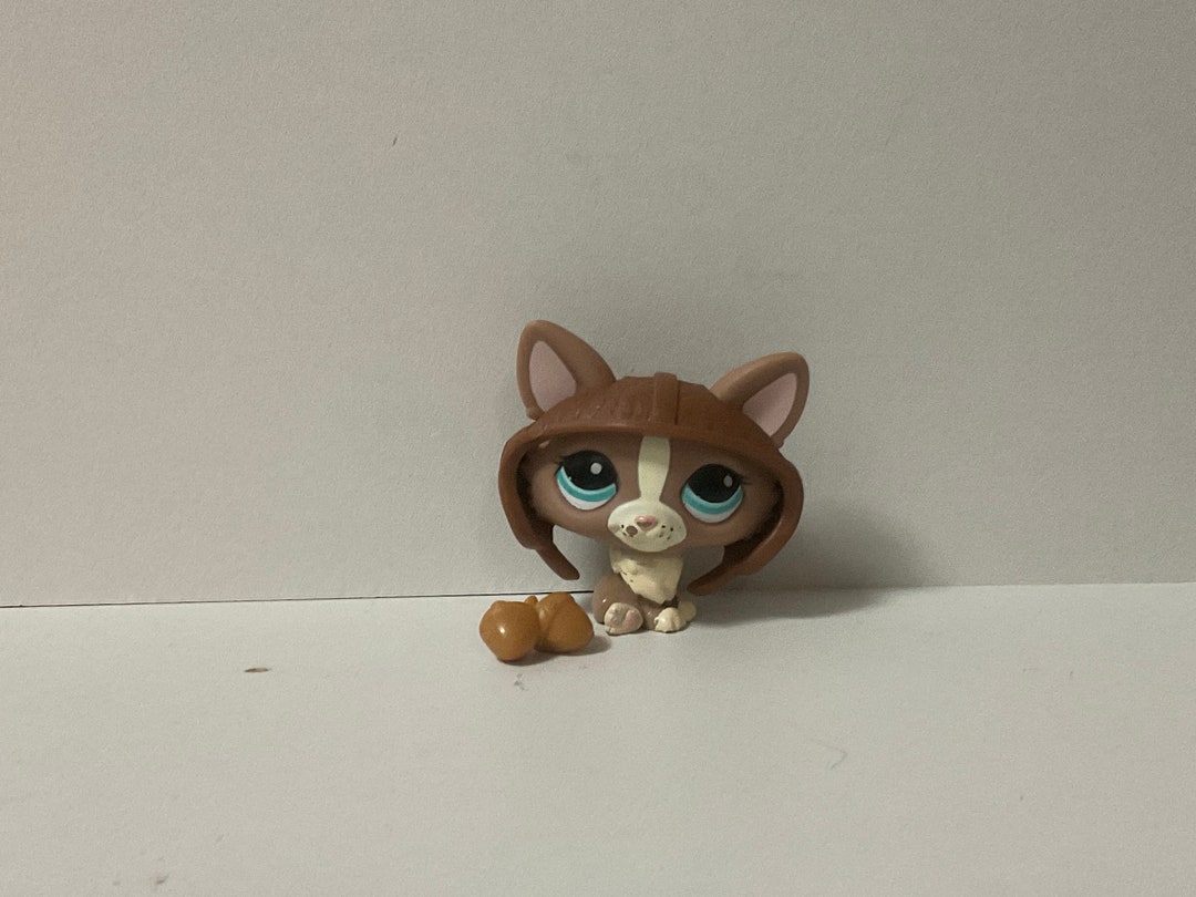 LPS 100% Authentic #1864 W/accessories - Etsy