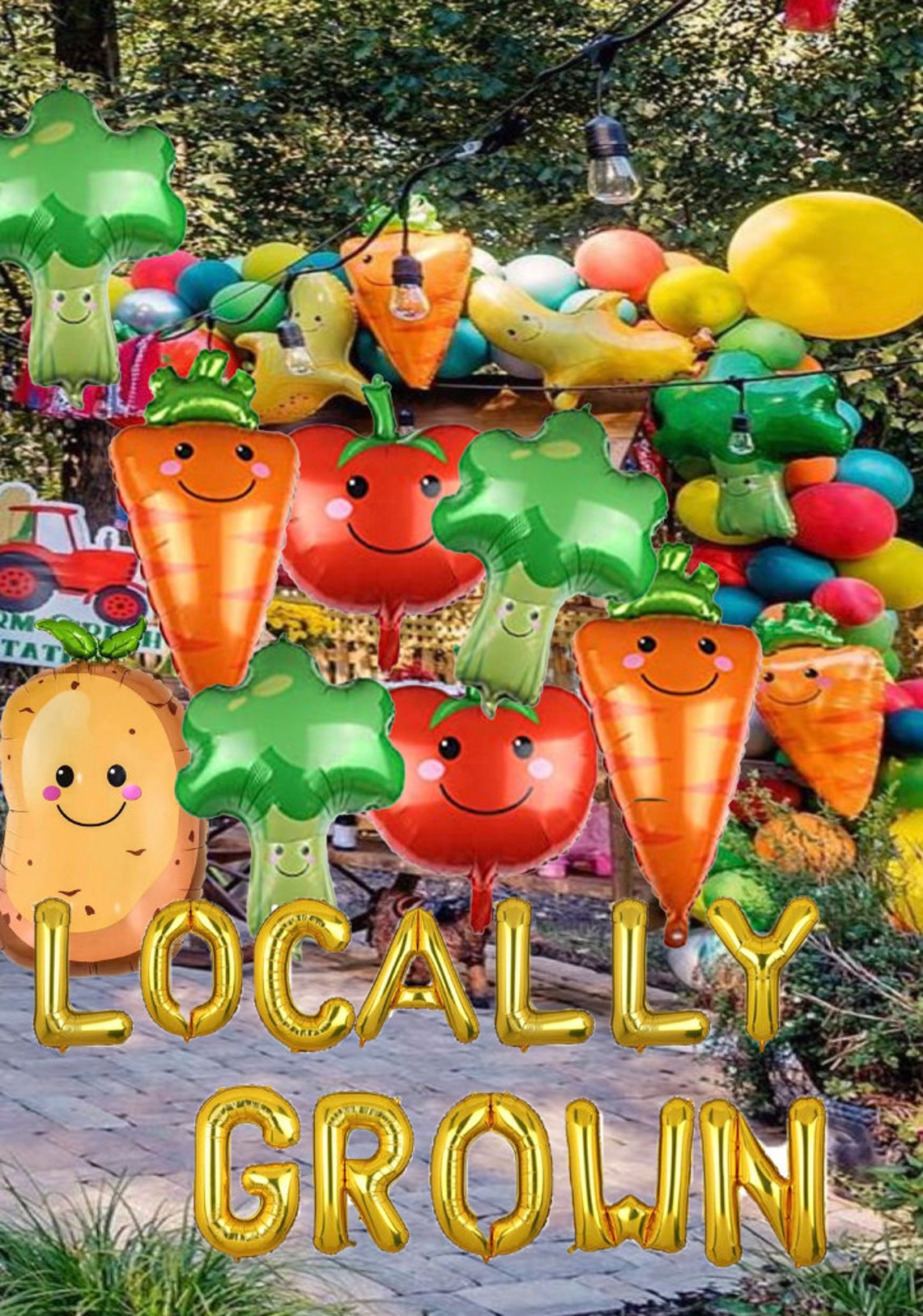 Locally Grown Happy Birthday, Farm Decoration Station, Veggie Balloons ...