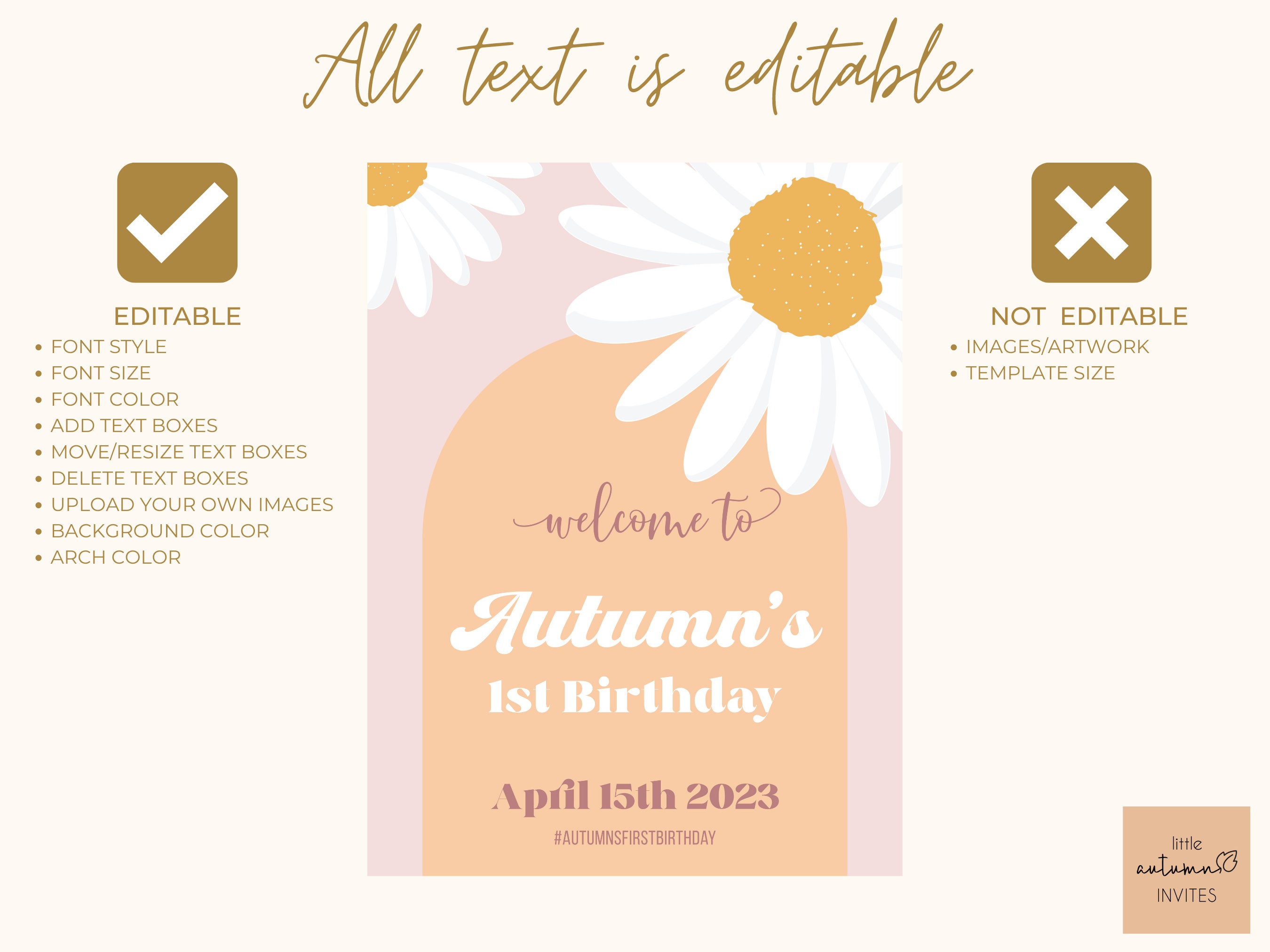 Daisy Birthday Welcome Board | Retro Daisy First Birthday Welcome Sign ...