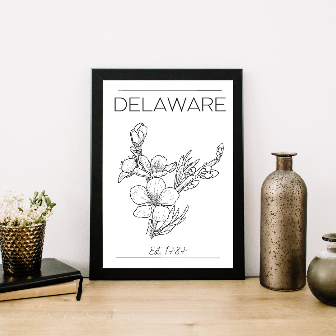Delaware State Flower Wall Art - INSTANT DOWNLOAD - Black and White ...