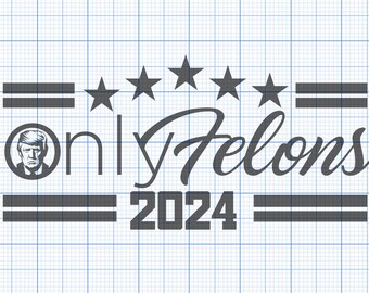 Vote Felon, Laser Engraving File, Hat Patches, Trump 2024 - Etsy