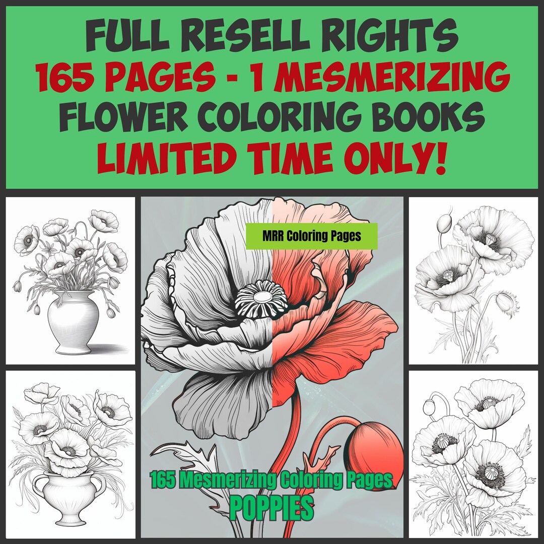 MRR 165 Page Spring Flower Coloring Book With Full Master Resell Rights ...