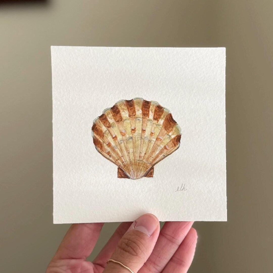 Scallop Shell - Original - Etsy