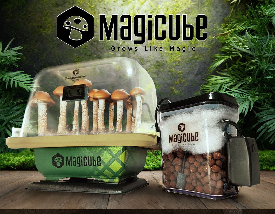 Magicube Pro Mushroom Automated Fruiting Chamber Dub Tub Grow Kit ...