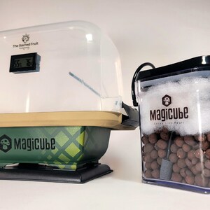 Magicube Pro Mushroom Automated Fruiting Chamber Dub Tub Grow Kit ...